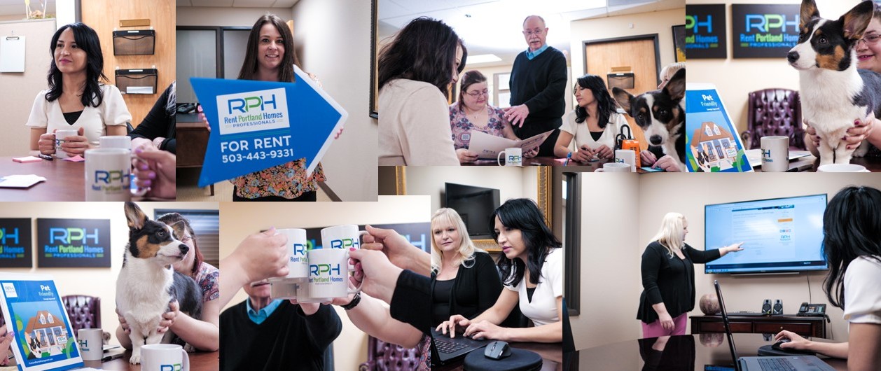 4 Rent Local - Learn More About Our Property Management Team